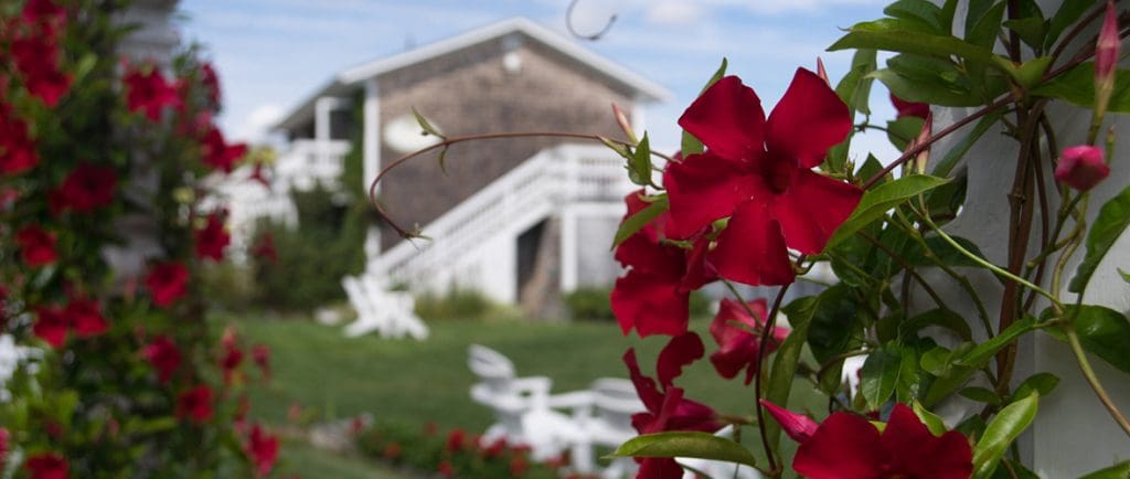 Marginal Way House Hotel – Ogunquit Maine’s Finest Location Overlooking ...